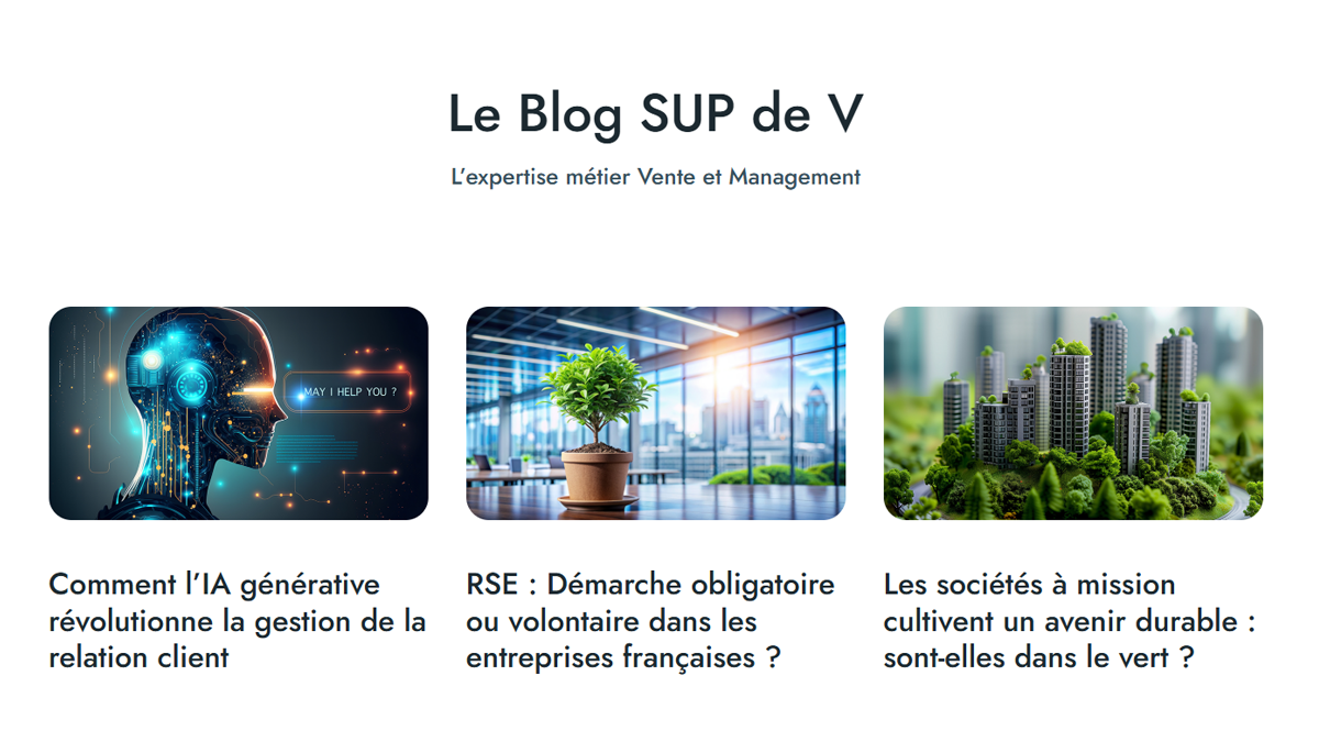 Le Blog SUP de V - L'expertise métier Vente et Management